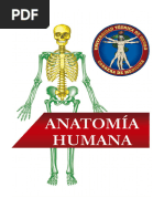 Anatomía en la Antigua India: Orígenes | PDF | Anatomía | Riñón
