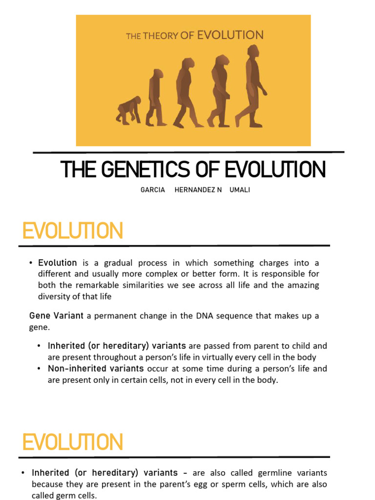 The Genetics of Evolution - Presentation 1 | PDF | Evolution | Mutation