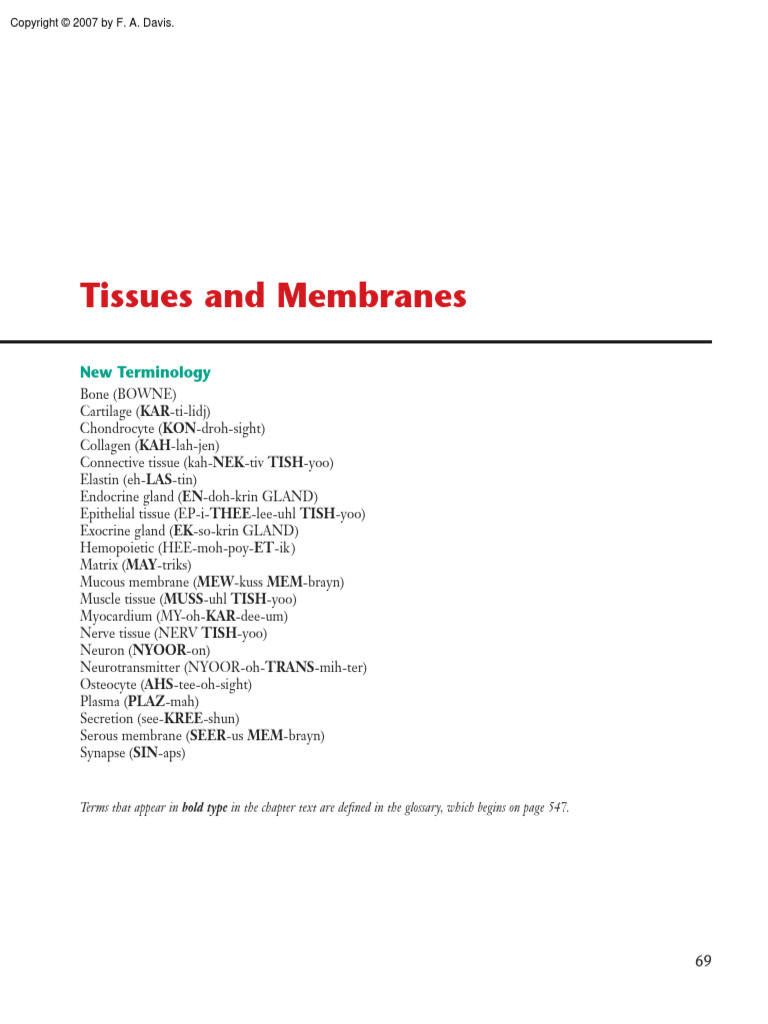 Study Guide Tissues and Membrane | PDF | Epithelium | Connective Tissue