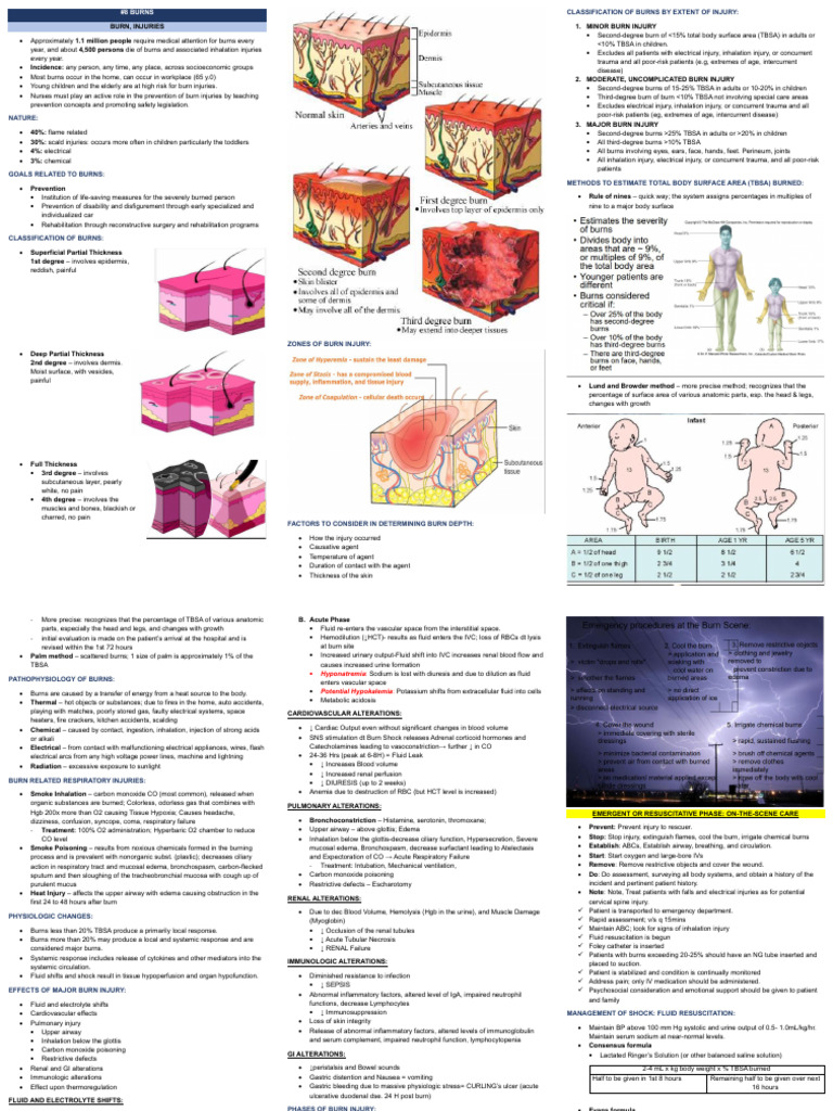 Burns (NCM 112 - Medsurg) | PDF | Burn | Injury