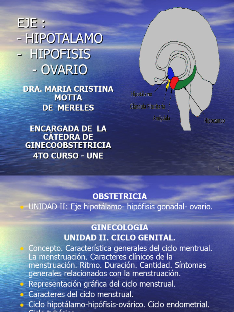 2 - Eje Hipot-hipof-O.2018 PT | PDF | Hormona luteinizante | Glándula pituitaria
