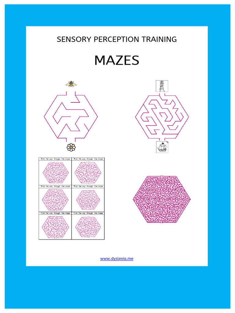 Mazes | PDF | Cognitive Science | Neuroscience
