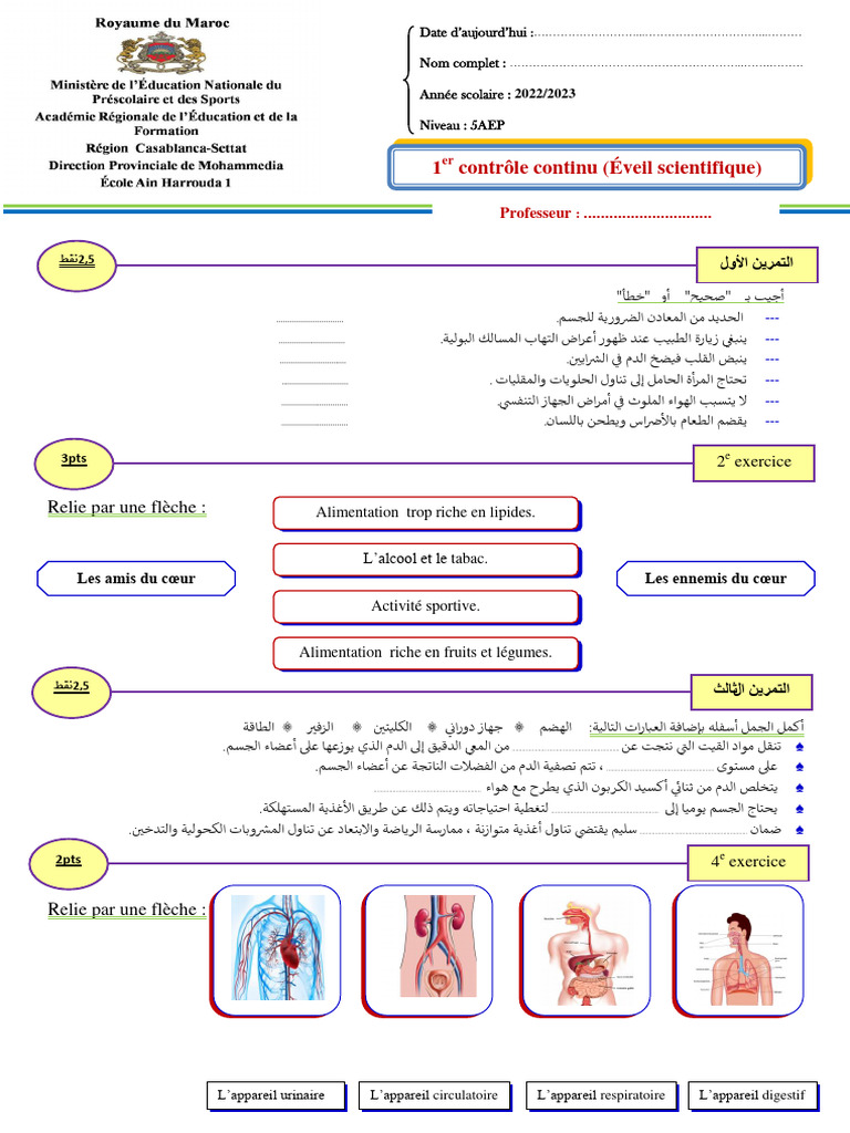 1 Contrôle Continu (Éveil Scientifique) : Relie Par Une Flèche | PDF