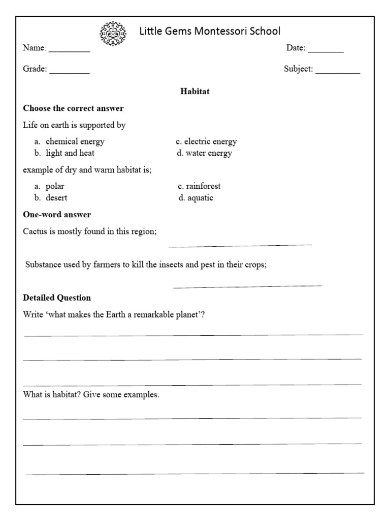 Grade 3 Test Unit 1 | PDF