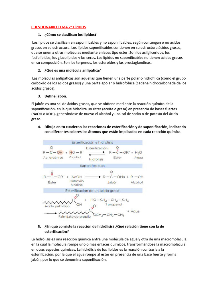 Cuestionario Tema 2. Lã Pidos | PDF | Lípido | Ácido graso