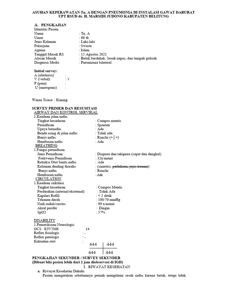 Askep Igd Eko Pneumonia | PDF | Pengembangan Diri | Kesehatan Holistik
