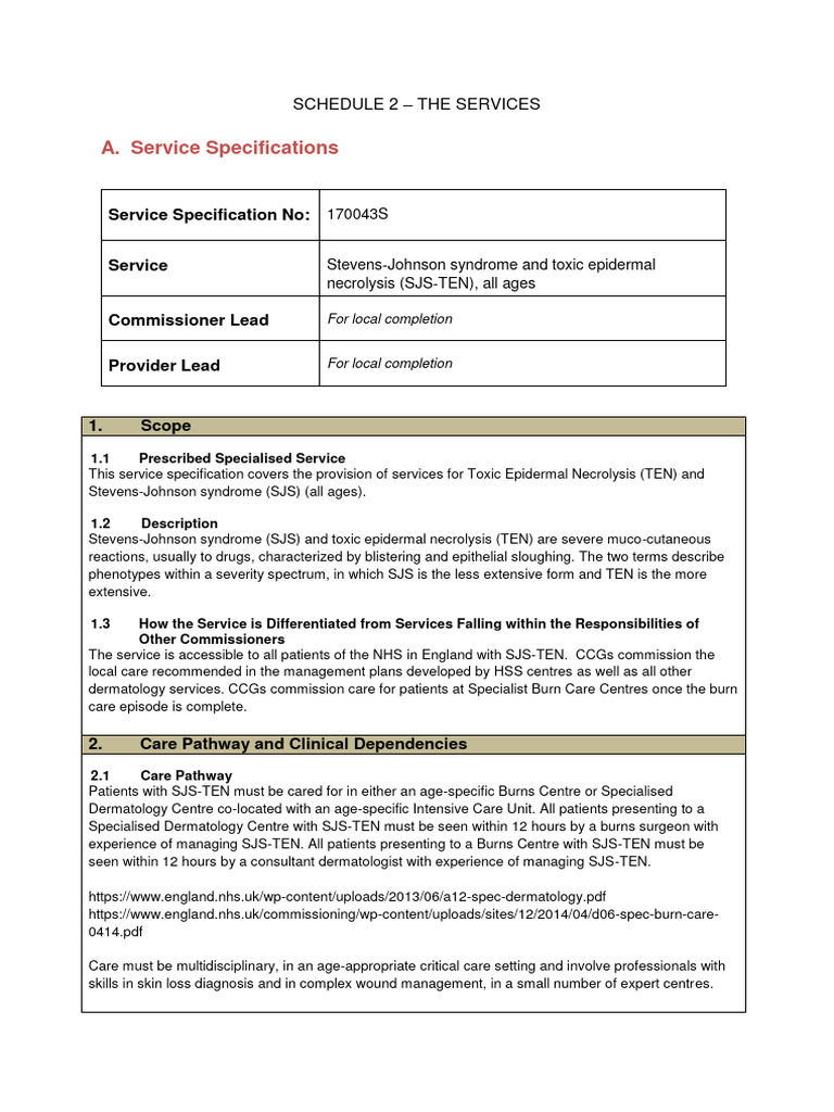 Service Specification Stevens Johnson Syndrome Toxic Epidermal ...