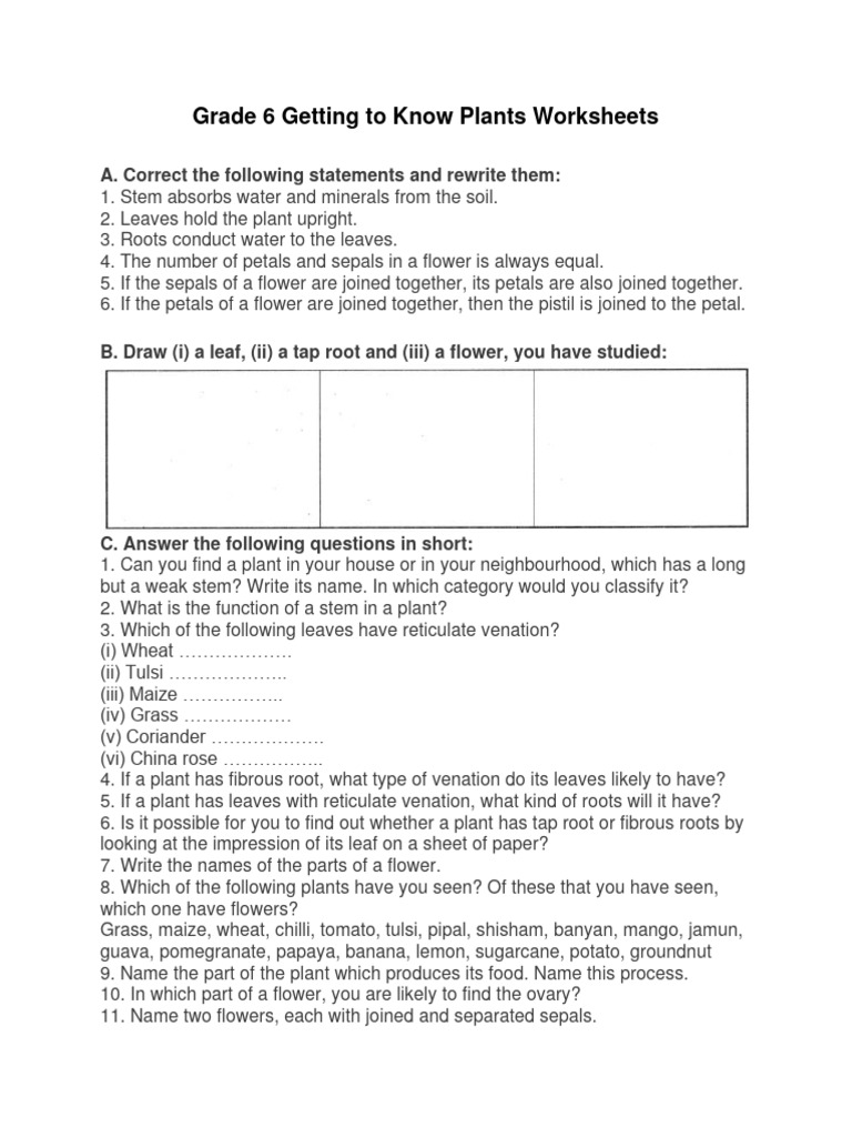 Getting To Know Plants | PDF | Flowers | Reproduction