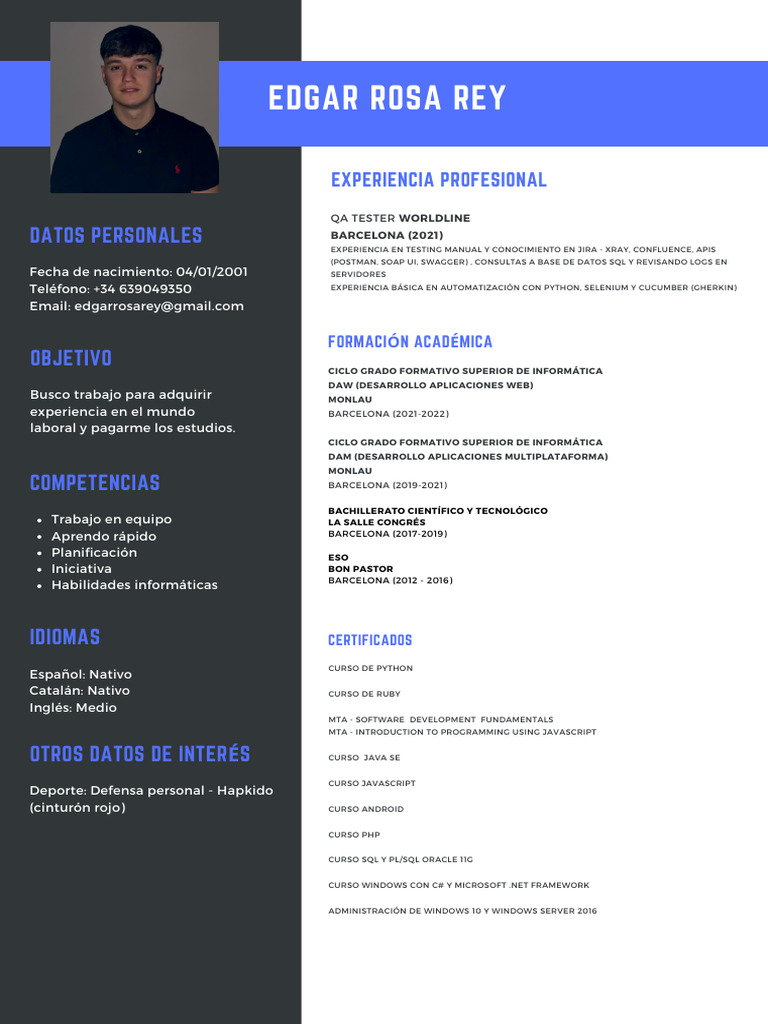 CV - Edgar Rosa Rey | PDF | Tecnologías de la información | Desarrollo ...