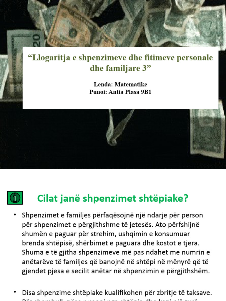 Llogaritja e Shpenzimeve Dhe Fitimeve Personale Dhe | PDF