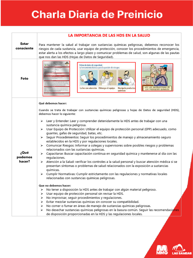 La Importancia de Las HDS en La Salud | PDF | Salud y bienestar
