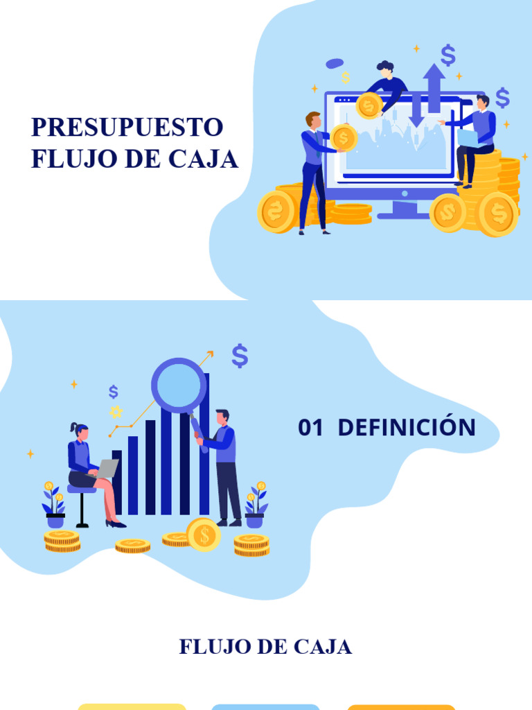 Flujo de Caja | PDF | Presupuesto | Flujo de efectivo