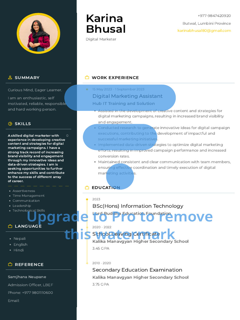 Karina Bhusal VisualCV Resume | PDF | Digital Marketing | Human Communication