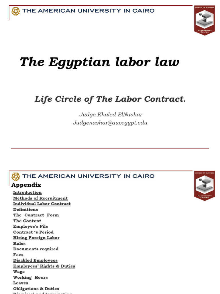 The Egyptian Labor Law New | PDF | Employment | Labour Law