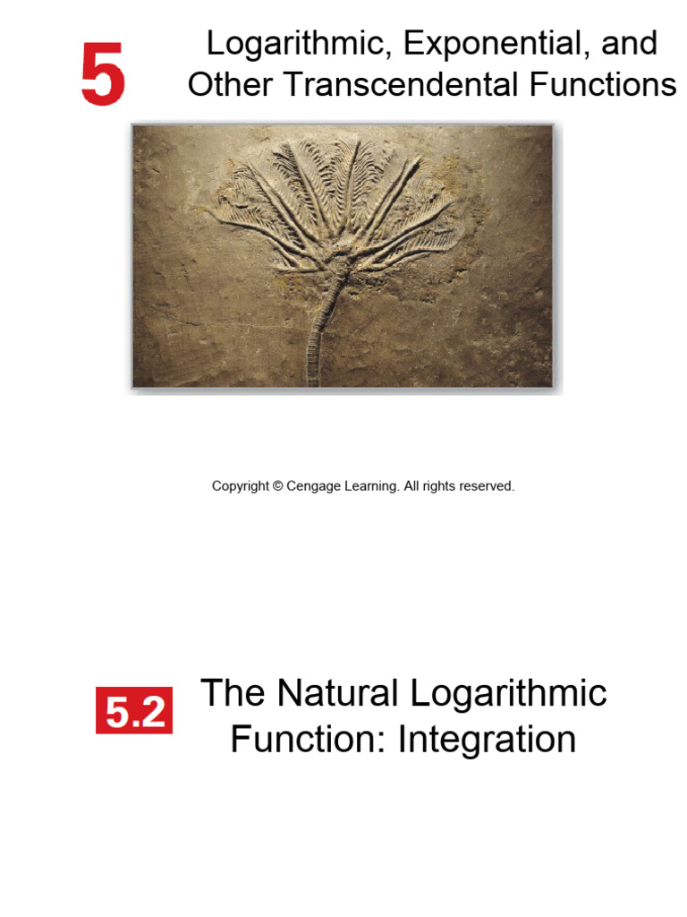 Dec 15 | PDF | Integral | Logarithm