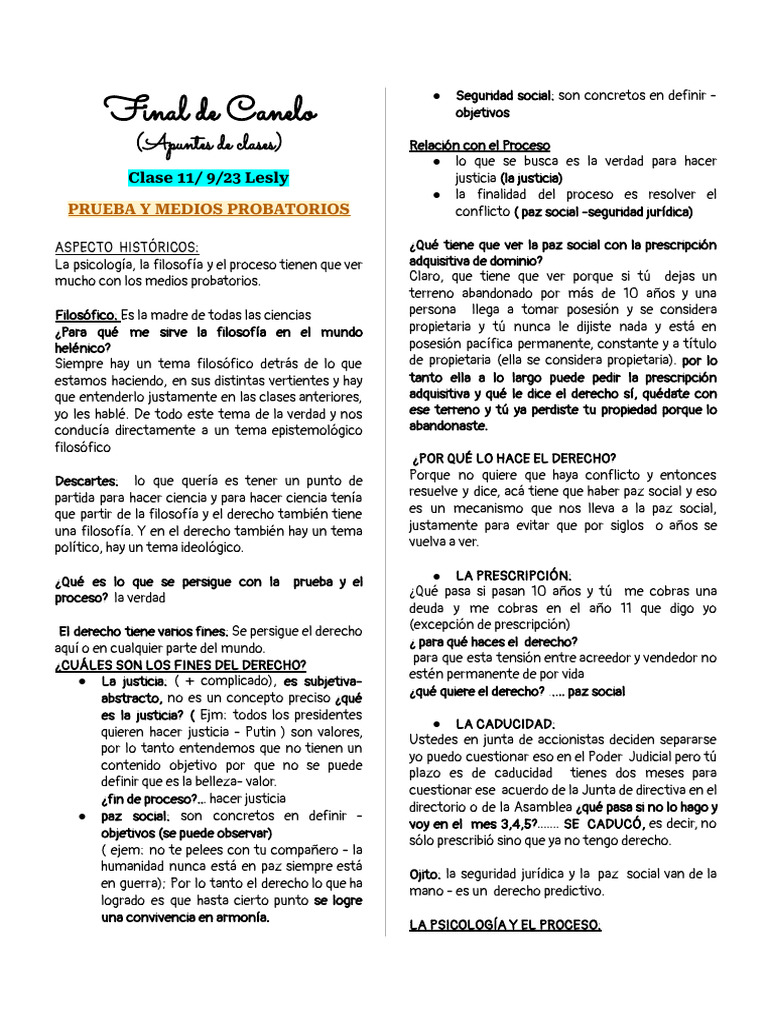 Resumenes - Final de Canelo | PDF | Evidencia (ley) | Juez