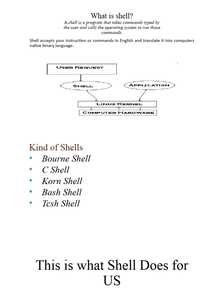 Shell Scripting OS LAB | PDF | Control Flow | Scripting Language