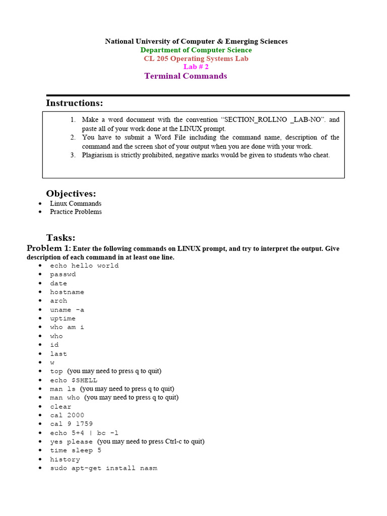 Lab 3 - Exercise (Terminal Commands) | PDF | Computer Terminal | Computer File