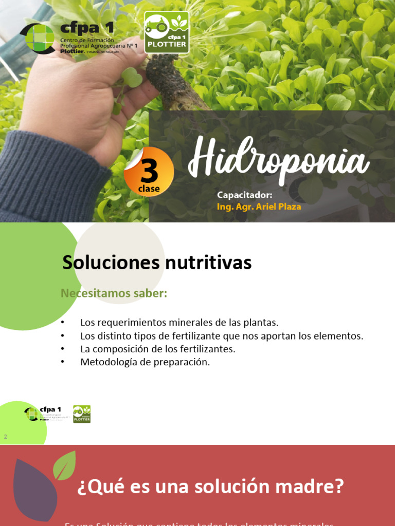 Clase 3 Hidroponia | PDF | Concentración | Hidroponia