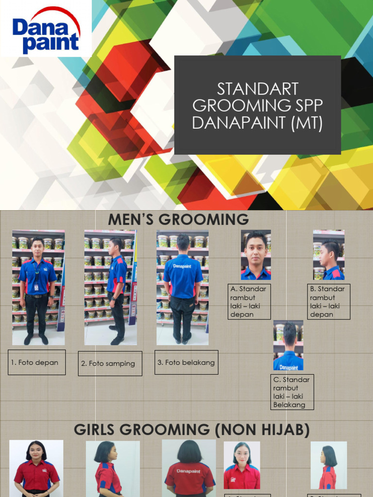 Standart Grooming SPP Danapaint Fix | PDF