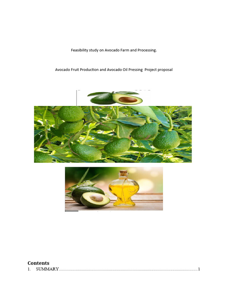 Avocado Processing Plant Pdf Economic Growth Agriculture