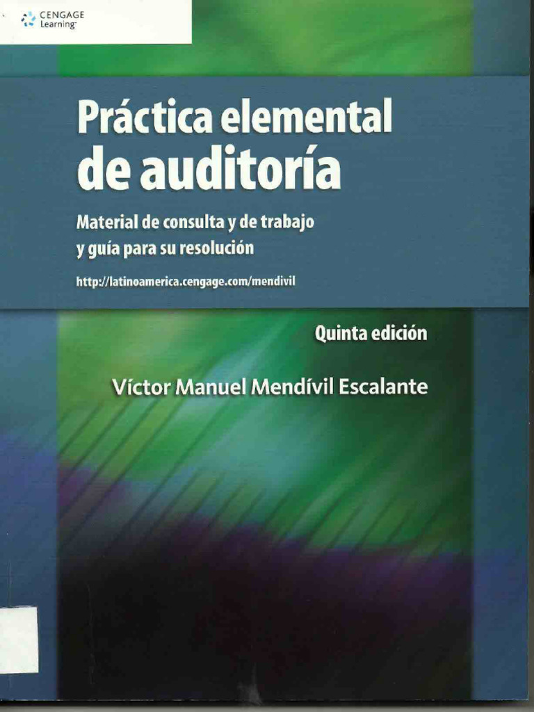 Práctica Elemental de Auditoría Mendívil 5a Ed-1 | PDF