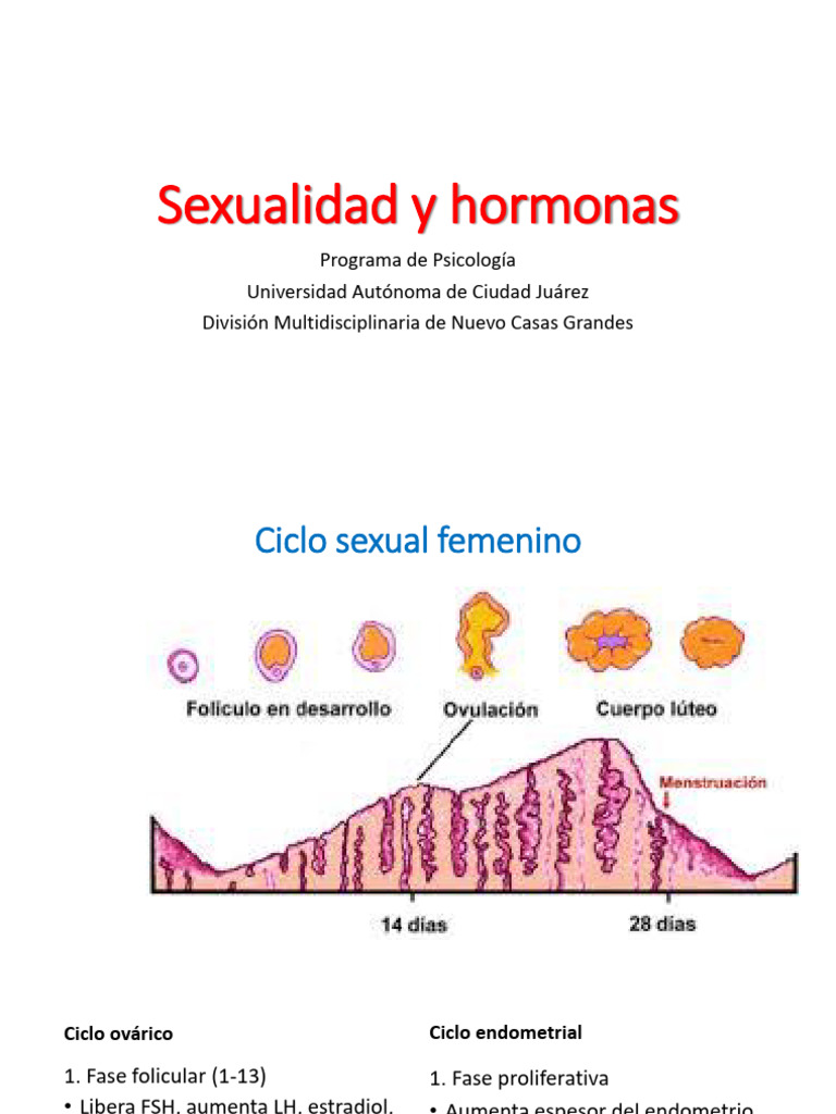 Sexualidad y Hormonas | PDF | Ciclo menstrual | Hormona luteinizante