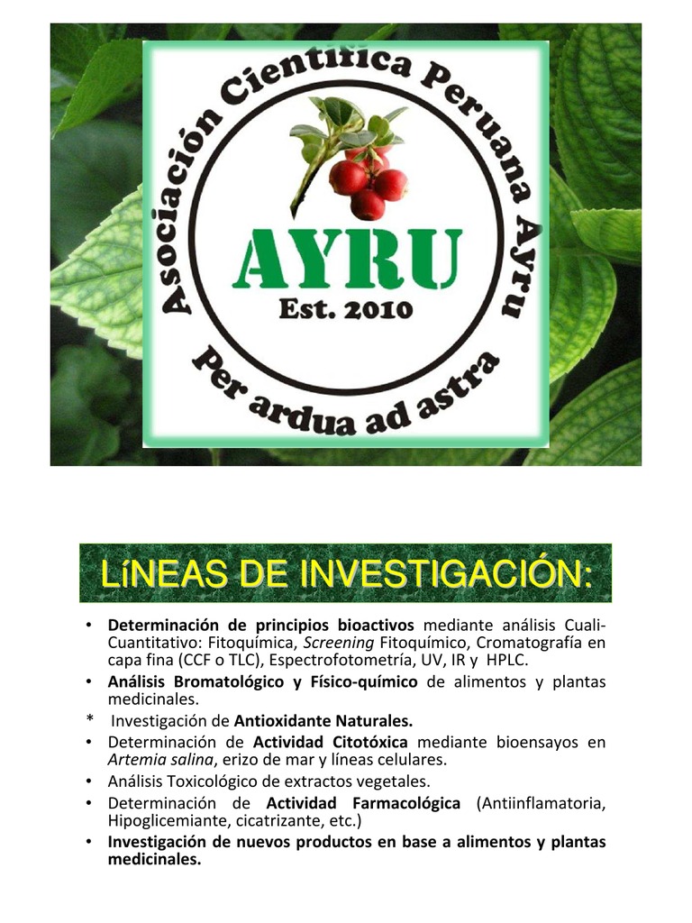 Bebida-Grupo AYRU | PDF | Farmacia | Química