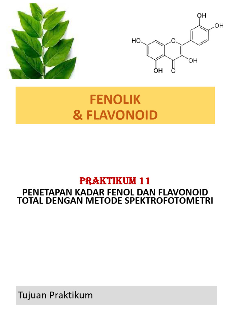 Penetapan Fenol & Flavonoid Total | PDF