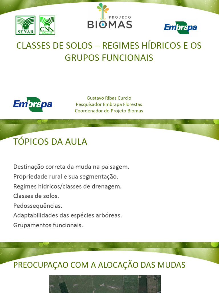 Aula 5 Classes de Solos - Regimes Hídricos e Grupos Funcionais | PDF ...