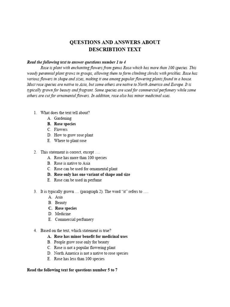 Questions and Answers About Describtion Text | PDF | Angkor Wat | Rose