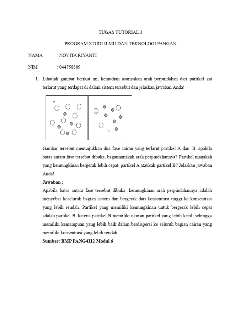 Tugas 3 Kimia Fisik Pangan | PDF