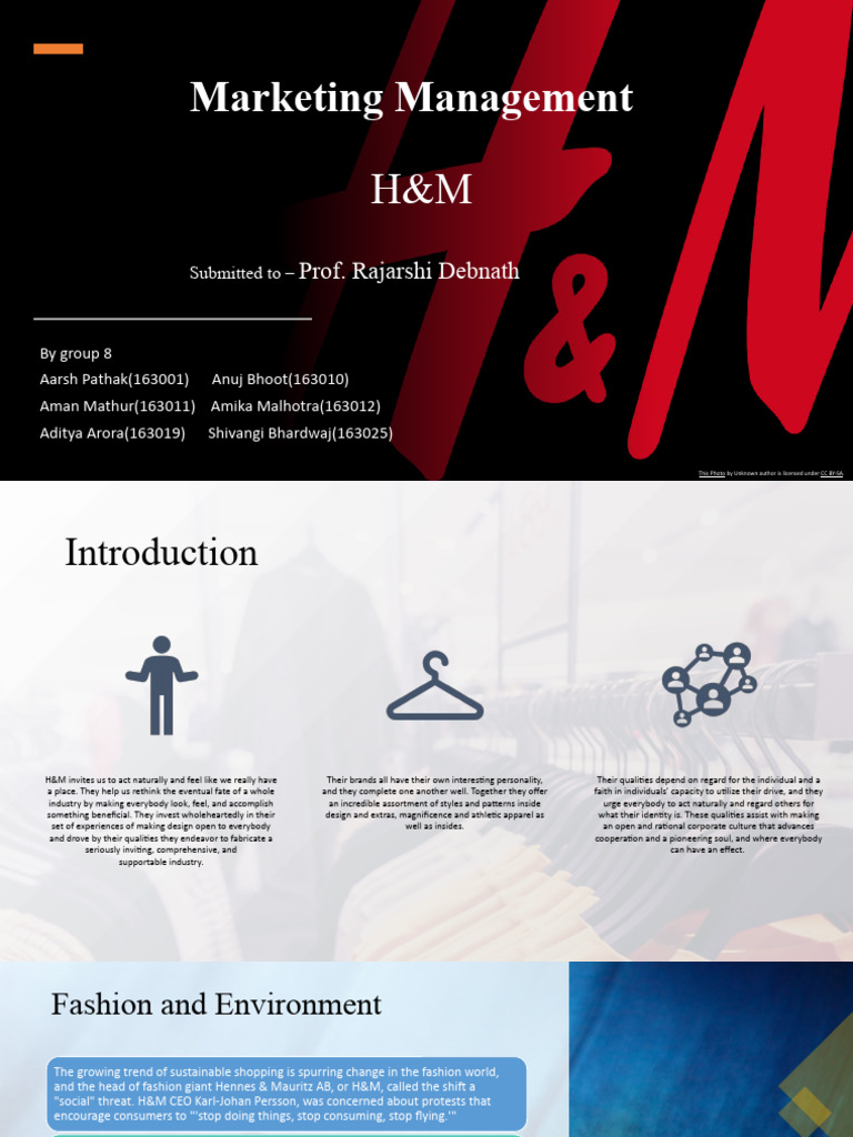 Group8 H M PPT | PDF | Market Segmentation | Economies