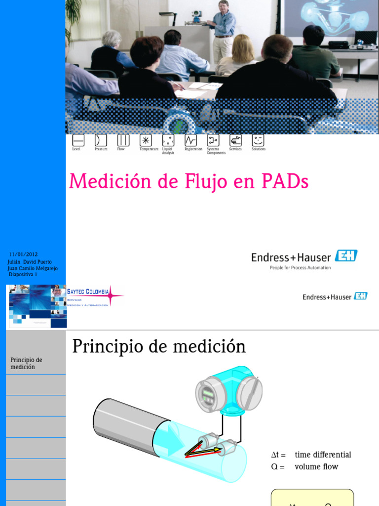 Presentacion PADs | PDF