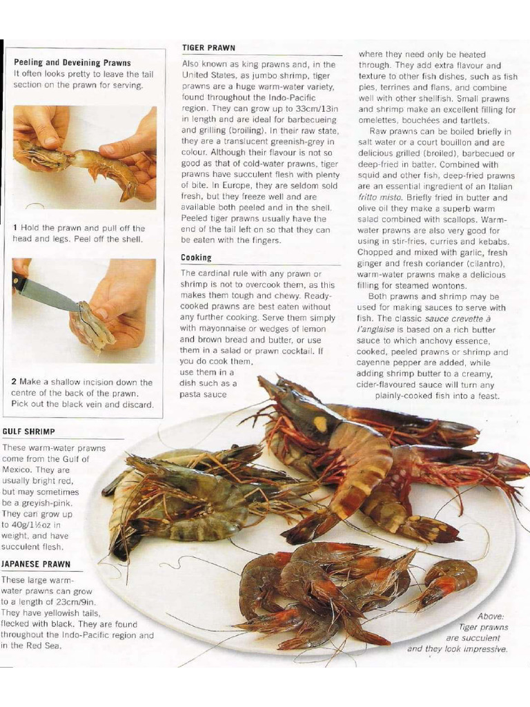 Prawns | PDF