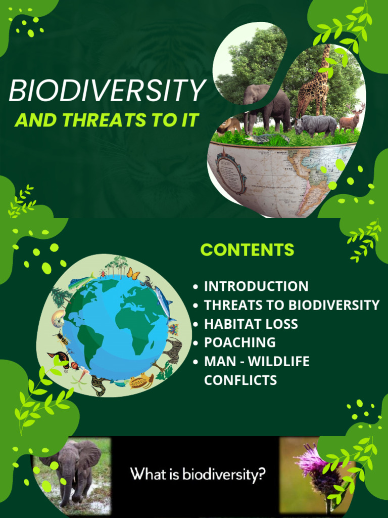 BIODIVERSITY AND ITS THREATS PPT | PDF | Habitat Destruction | Biodiversity