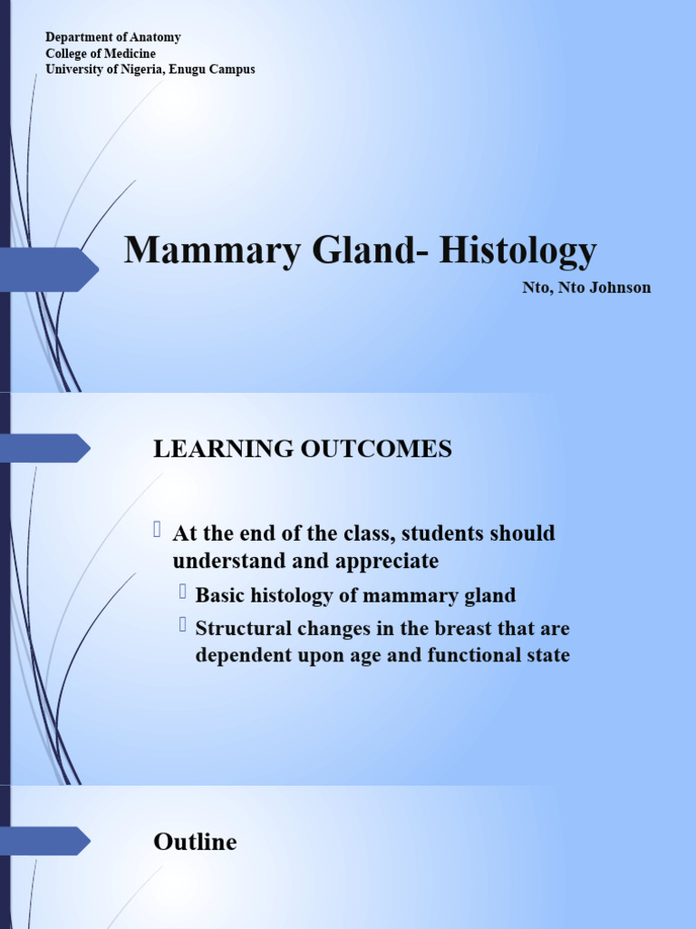 Mammary Gland Histology Nto Nto Johnson Pdf Breast Epithelium