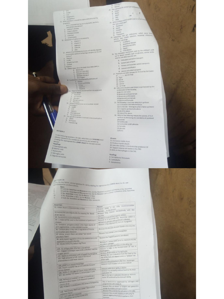 024 BIC 3RD TEST PQ | PDF