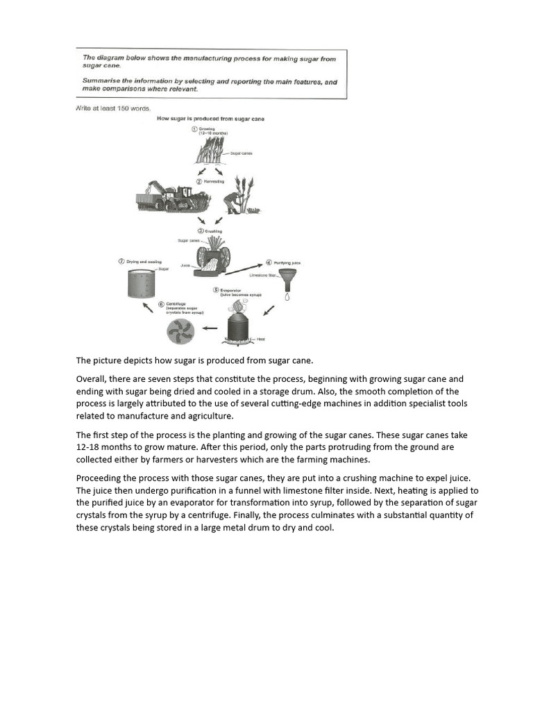 Sugar Production from Sugar Cane Steps | PDF | Cooking, Food & Wine ...