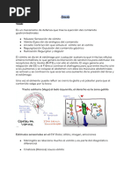 Tentramitrozón - Usos y Efectos Secundarios | PDF | Asma | Inflamación