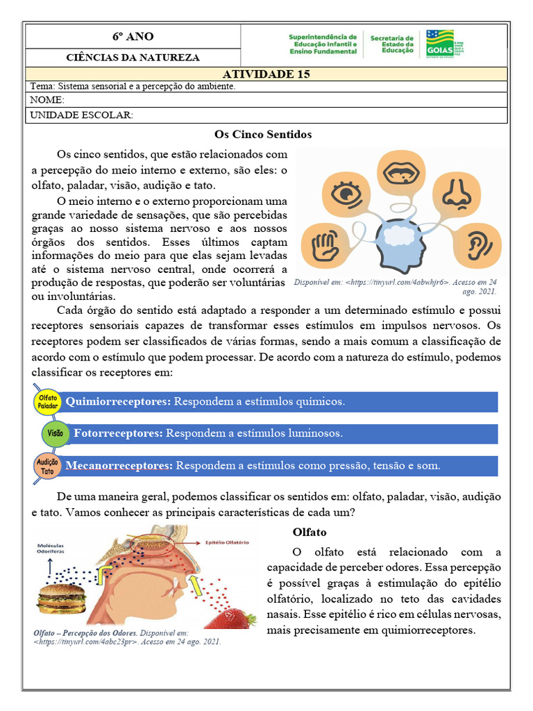 Atividade-15-6o-ano-CIE-Sistema-Sensorial | PDF | Estímulo (Fisiologia ...