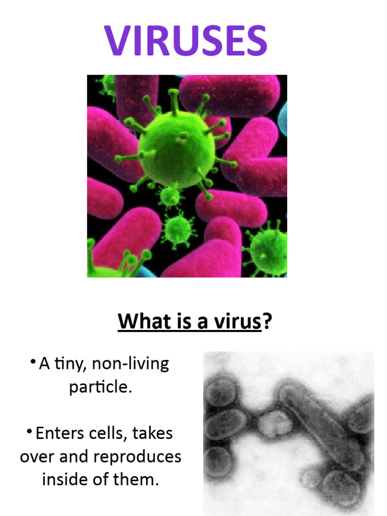 Active vs. Hidden Viruses Explained | PDF | Virus | Microbiology