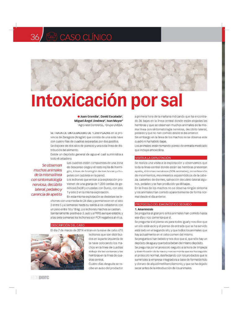 Intoxicación Por Sal | PDF