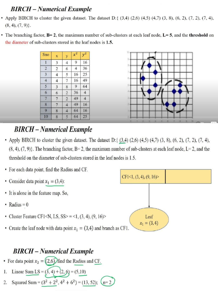 Birch Example | PDF