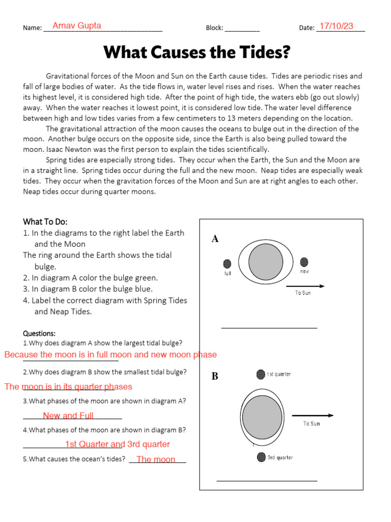 Tides Worksheets 7th Grade Science