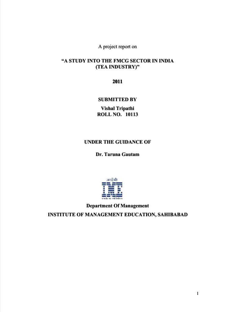 Scibid Annual Filing | PDF