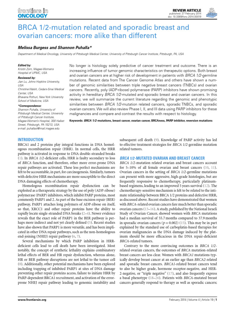 BRCA 12-Mutation Related and Sporadic Breast and O | PDF | Dna Repair | Ovarian Cancer