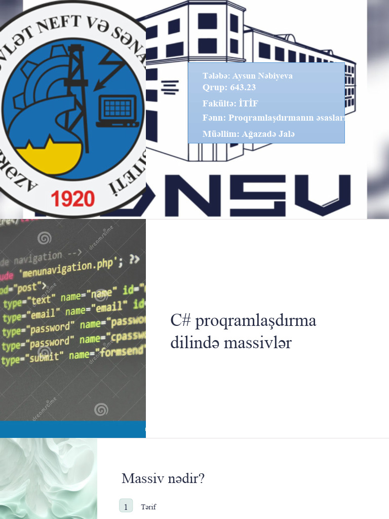 Telebe Aysun Nebiyeva | PDF