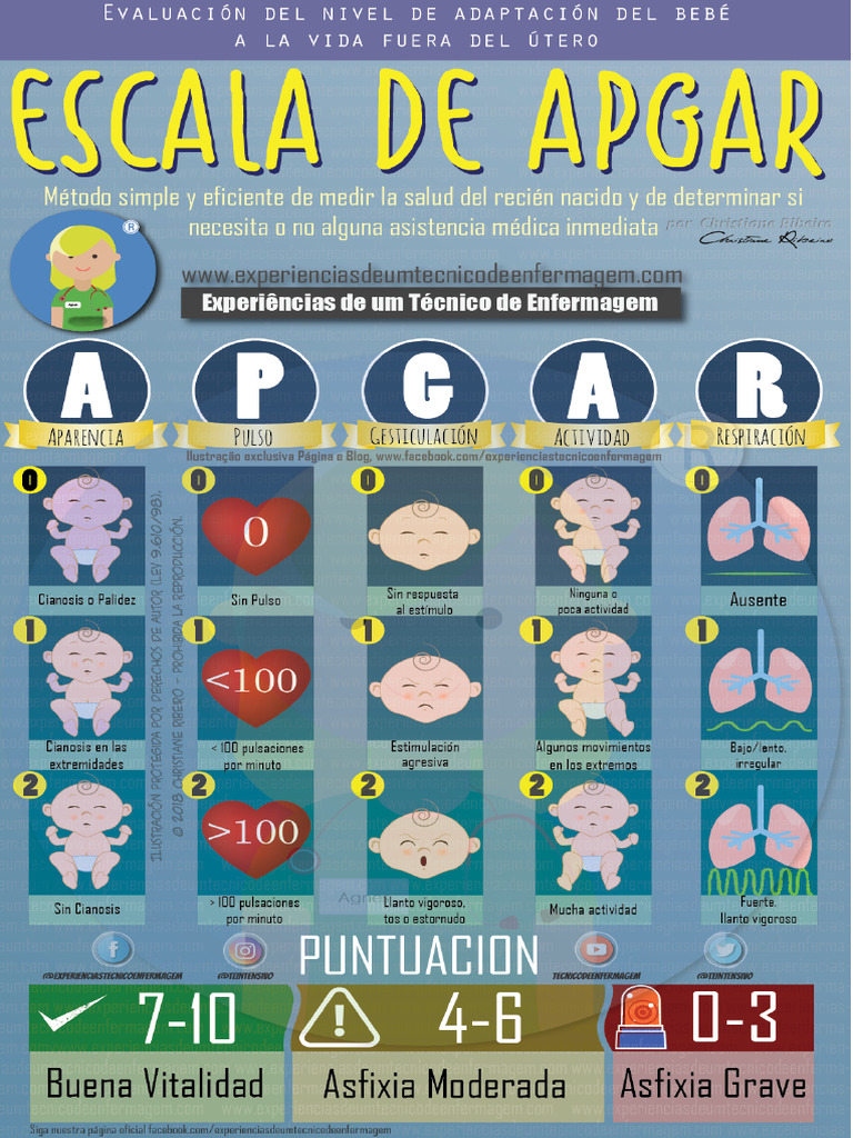 Escala de Apgar o Test de Apgar | PDF | Infantes | Parto