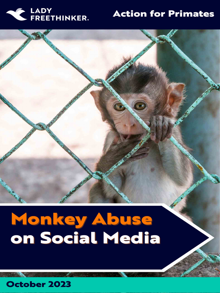 Monkey Abuse on Popular Social Media Platforms 2 | PDF | Social Media ...